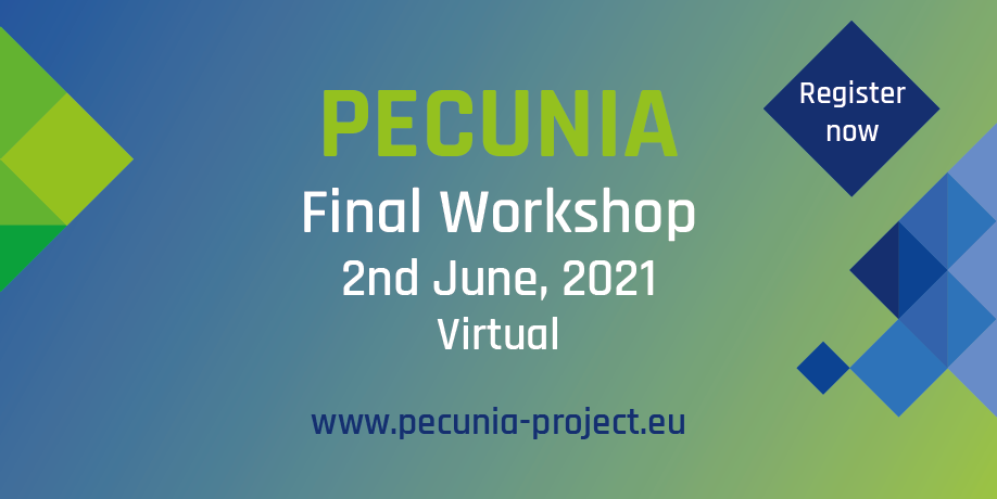 Horizon2020 Project PECUNIA Nearing the Finish Line: Virtual Final ...